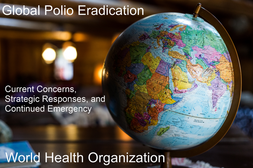 Global Polio Eradication: Current Concerns, Strategic Responses, and ...